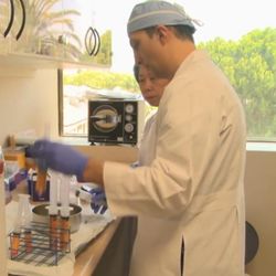 NATHAN NEWMAN, MD - 24 Photos & 20 Reviews - 9301 Wilshire Blvd ...