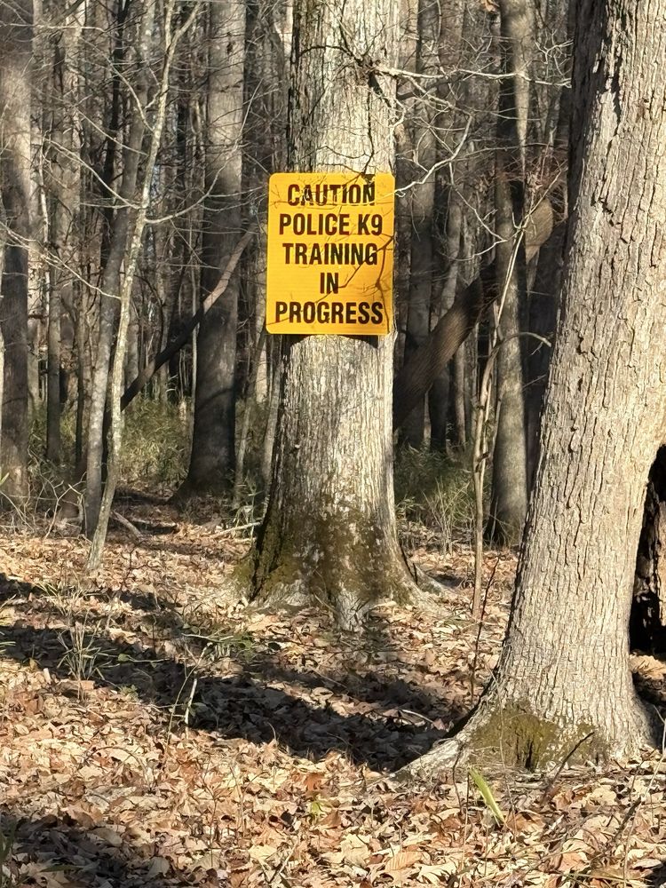 FOXFIRE TRAIL - Updated October 2025 - 2450 Esplanade Dr, Virginia ...