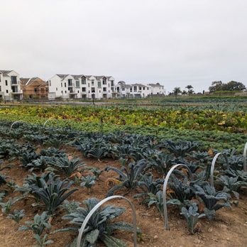 FOX POINT FARMS - Updated December 2024 - 154 Photos & 60 Reviews ...