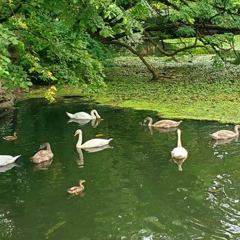 VAN CORTLANDT PARK - Updated December 2025 - 662 Photos & 90 Reviews ...