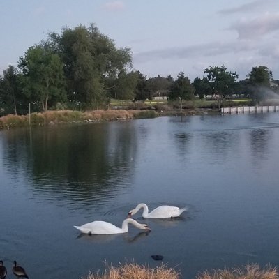 KENNER CITY PARK PAVILION - Updated February 2025 - 119 Photos & 11 ...