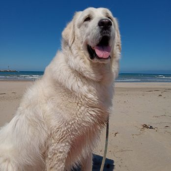 RUDDER ROOM - Updated August 2025 - 111 Photos & 186 Reviews - 2929 ...