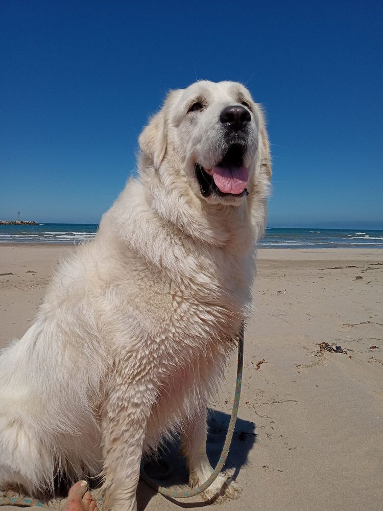 RUDDER ROOM - Updated December 2024 - 100 Photos & 178 Reviews - 2929 ...