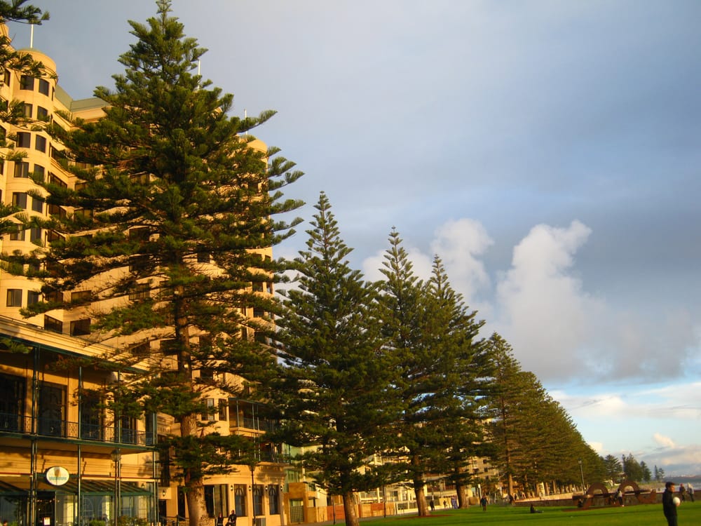 JETTY ROAD TREASURE HUNT - Jetty Rd, Glenelg South Australia, Australia ...