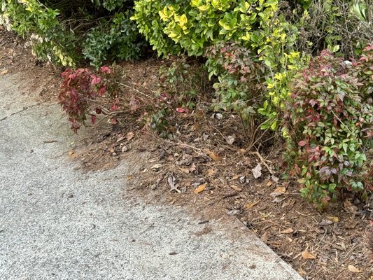 ARROW WASTE - Updated January 2026 - 27 Photos & 73 Reviews - 4039 ...