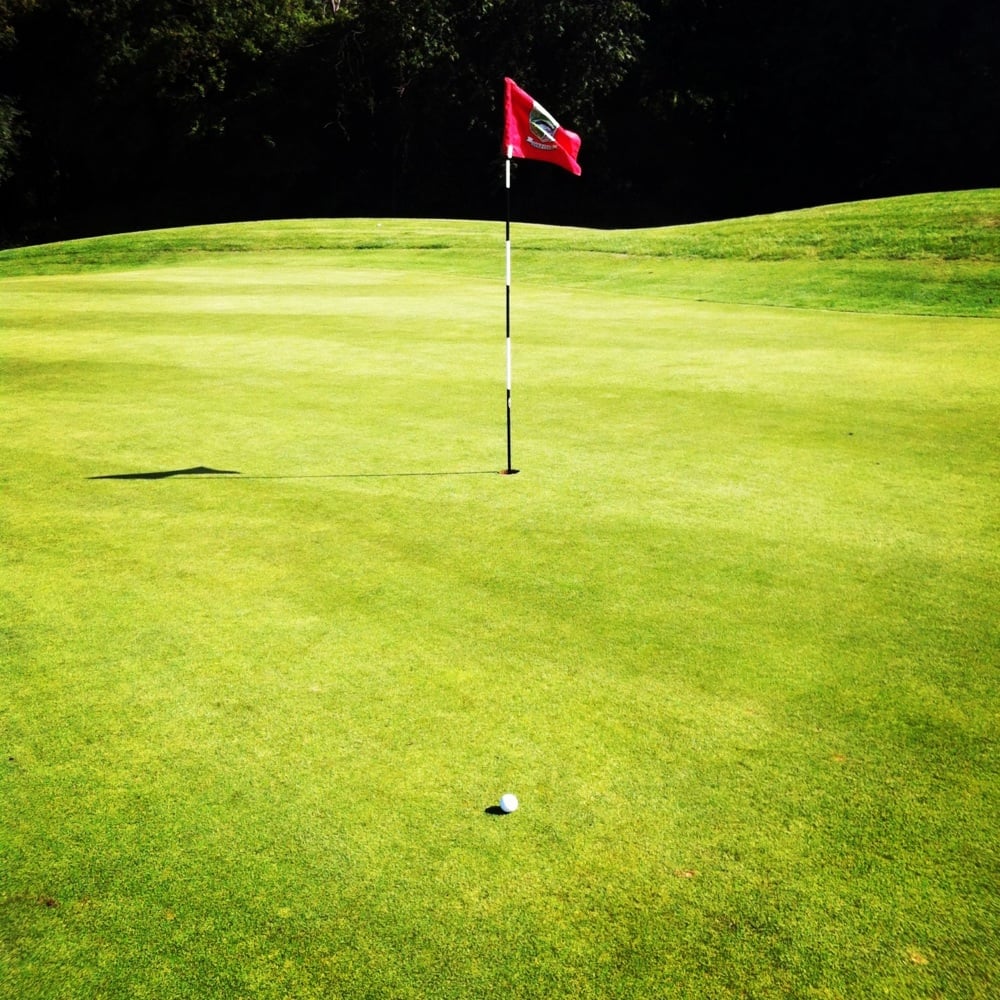 BRAMPTON PARK GOLF CLUB - Buckden Road, Huntingdon, Cambridgeshire ...