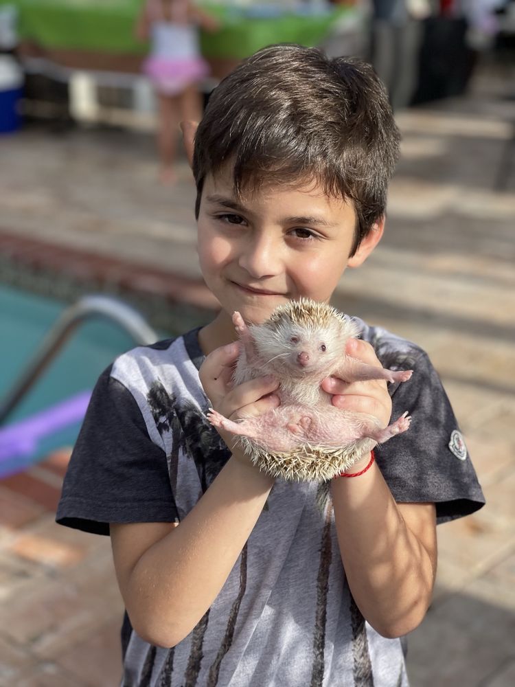 BOCABIRDS - 12 Photos - Boca Raton, Florida - Petting Zoos - Phone ...