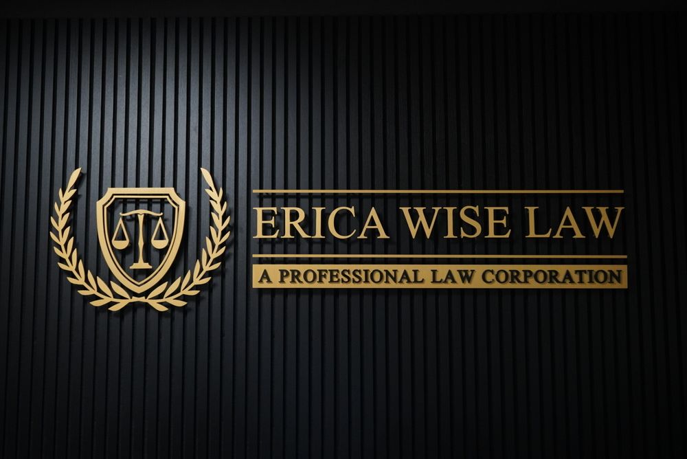 ERICA WISE LAW - Updated December 2025 - 14 Reviews - 1445 E Los ...