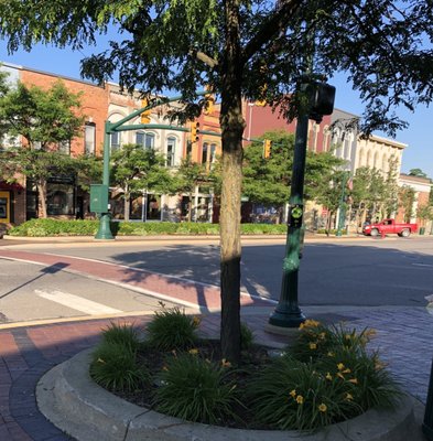 DEXTER BAKERY - 46 Photos & 77 Reviews - 8101 Main, Dexter, Michigan ...