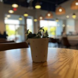 7 LEAVES CAFE - Updated July 2025 - 274 Photos & 185 Reviews - 3931 ...