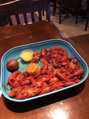 TAILGATOR’S PUB & GRILL - Updated January 2026 - 136 Photos & 262 ...