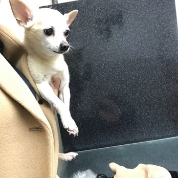 TOLEDO HUMANE SOCIETY - Updated October 2025 - 20 Photos & 14 Reviews ...