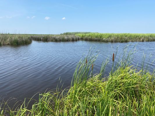 MACKAY ISLAND NATIONAL WILDLIFE REFUGE - 23 Photos - 316 Marsh Cswy ...