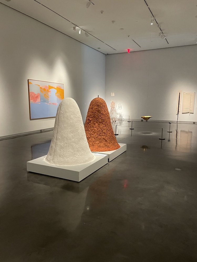 LSU MUSEUM OF ART - Updated July 2025 - 68 Photos & 12 Reviews - 100 ...