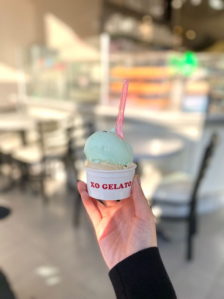 XO GELATO - Updated April 2026 - 21 Photos & 27 Reviews - 647 Mt ...