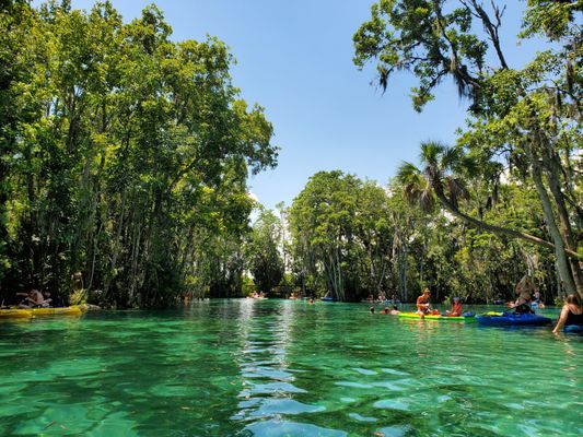 CRYSTAL RIVER KAYAK COMPANY - Updated July 2024 - 234 Photos & 200 ...