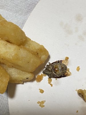 KRYSTAL - Updated August 2025 - 23 Photos & 12 Reviews - 19 Monroe Hwy ...