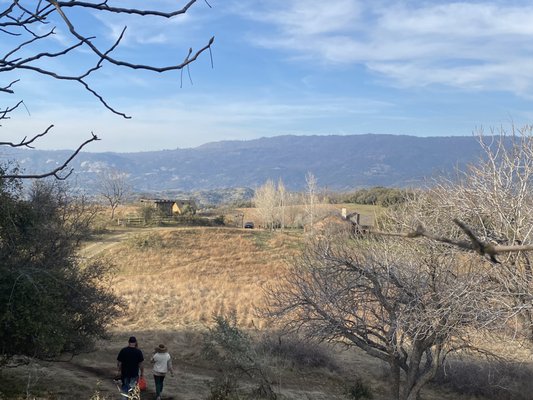 STARVIEW RANCH - 16 Photos - 46871 Orchard Dr, Miramonte, California ...