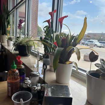 PHO 515 - Updated January 2025 - 233 Photos & 117 Reviews - 801 ...