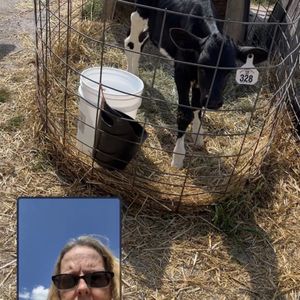 COOK’S FARM DAIRY - 73 Photos & 143 Reviews - 2950 E Seymour Lake Rd ...