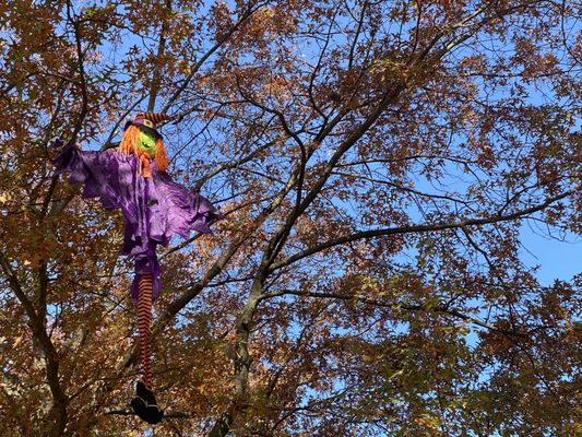 COOPER’S POND PARK - 104 photos & 18 avis - 133-153 West Church St ...