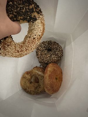 THE BLUE HOUSE BAGEL CO. & CAFE - 113 Photos & 56 Reviews - 161 Albany ...