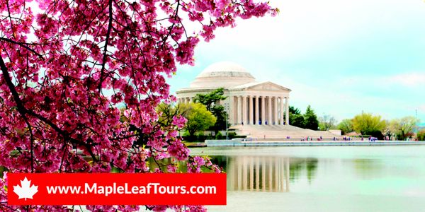 MAPLE LEAF TOURS - Updated January 2026 - 11 Photos - 2937 Princess ...