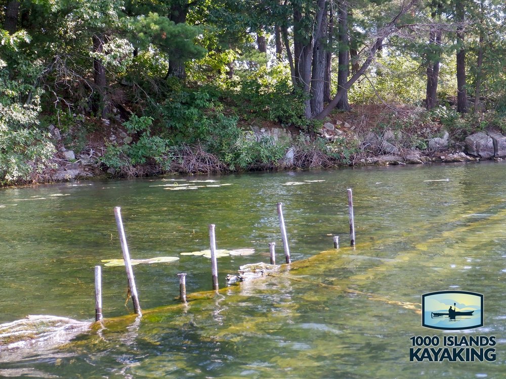 1000 ISLANDS KAYAKING - Updated June 2026 - 110 Kate Street, Gananoque ...