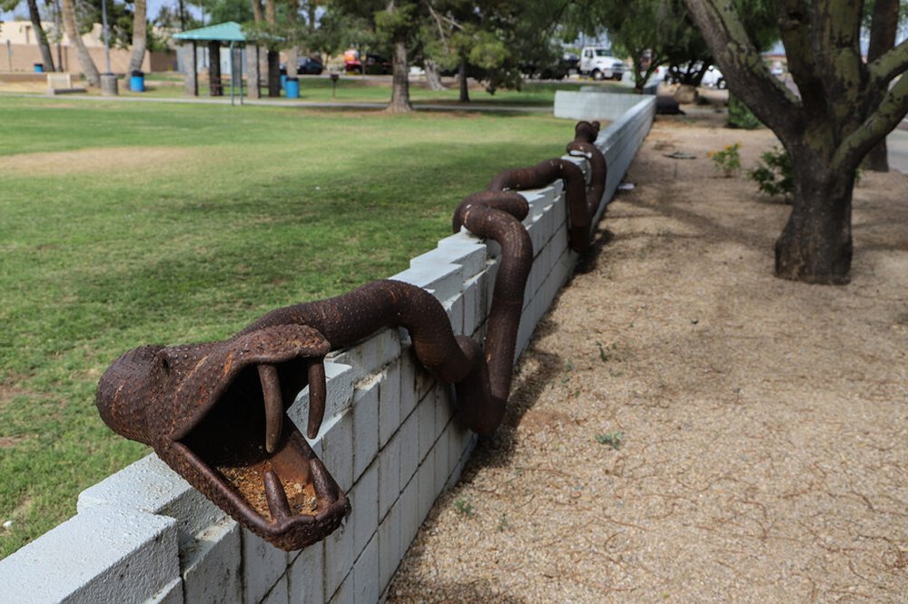 LIZARD ACRES - E McDonald Dr, Scottsdale, Arizona - Public Art - Yelp