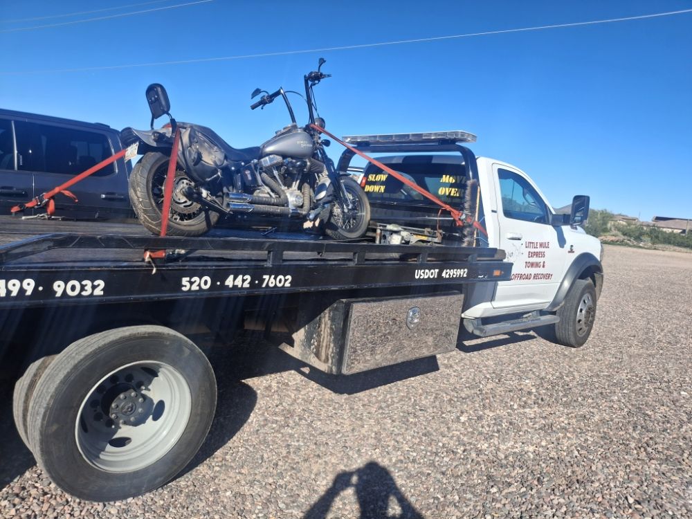 LITTLE MULE EXPRESS - Updated June 2026 - 65 Photos - Apache Junction ...
