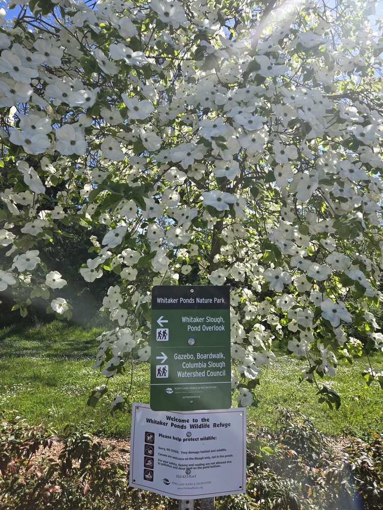 WHITAKER PONDS NATURE PARK - Updated July 2025 - 32 Photos - 7040 NE ...