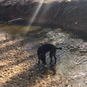 HIDDEN POND NATURE CENTER - 34 Photos & 31 Reviews - Parks - 8511 ...