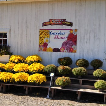 GARVER FAMILY FARM MARKET - 17 Photos - 6716 Hamilton Lebanon Rd ...