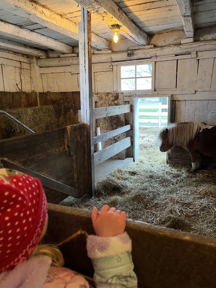 Grandpa Tiny's Farm, Frankenmuth | Roadtrippers