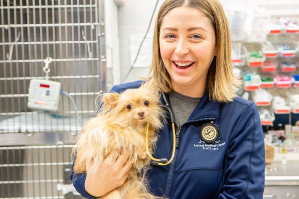 THE ANIMAL MEDICAL CENTER - Updated February 2026 - 163 Photos & 641 ...
