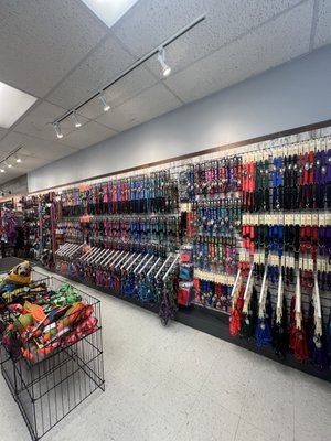 FOUR YOUR PAWS ONLY - Updated December 2025 - 26 Photos & 44 Reviews ...