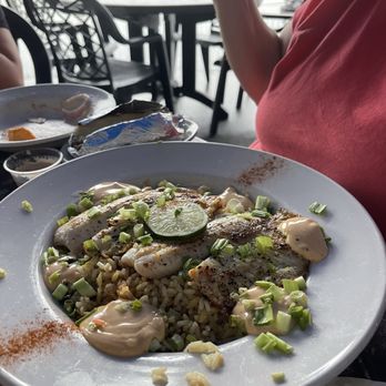 KINGFISH - Updated July 2025 - 229 Photos & 192 Reviews - 601 W ...