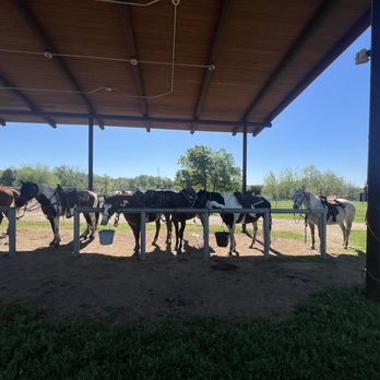 RIVER RANCH TEXAS HORSE PARK - Updated July 2025 - 71 Photos & 26 ...