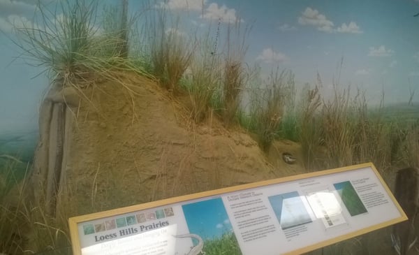 LOESS HILLS STATE FOREST - Updated October 2025 - 206 Polk St, Pisgah ...