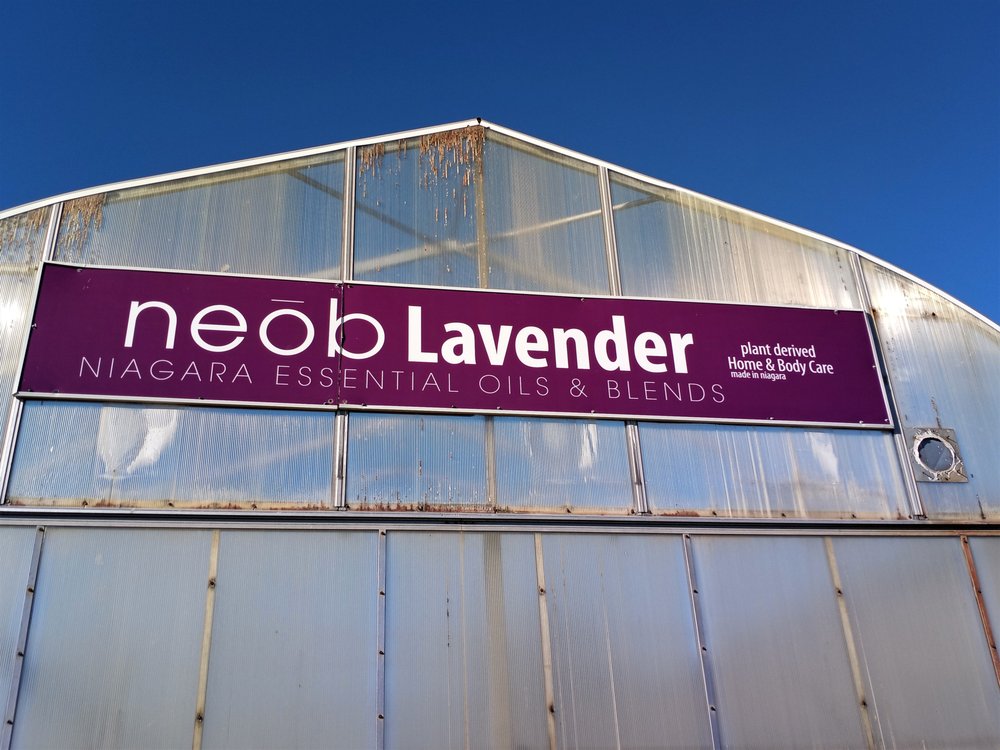 NEOB LAVENDER - Updated July 2025 - 76 Photos & 16 Reviews - 933 ...