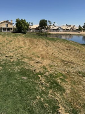 AHWATUKEE GOLF CLUB - Updated January 2026 - 13 Photos - 12432 S 48th ...