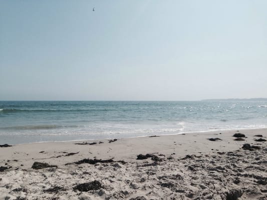 GOOSEWING BEACH - Updated January 2026 - 12 Photos - 106 S Shore Rd ...