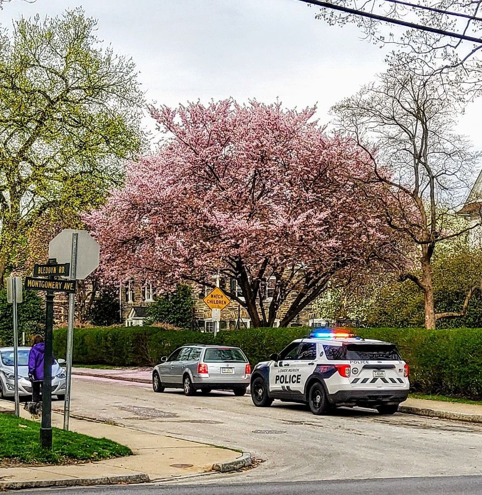 LOWER MERION POLICE DEPARTMENT - 59 Photos - 71 E Lancaster Ave ...