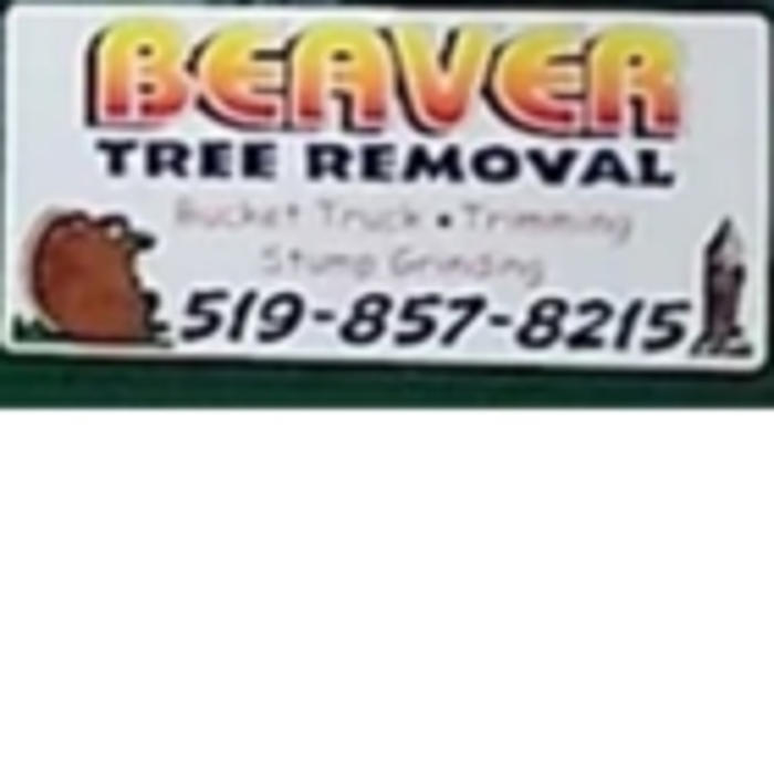 BEAVER TREE REMOVAL - 10 Photos - 119 Guest Court, Saint Marys, Ontario ...