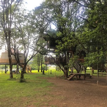 OUT’N’ABOUT TREEHOUSE TREESORT - Updated June 2024 - 298 Photos & 81 ...