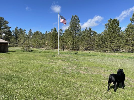 FRONT RANGE KUBOTA - Updated November 2025 - 12 Reviews - 7983 ...