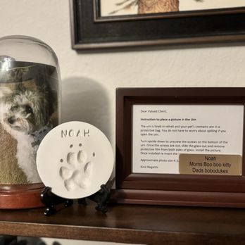 VCA BECKER ANIMAL HOSPITAL AND PET RESORT - Updated December 2025 - 242 ...