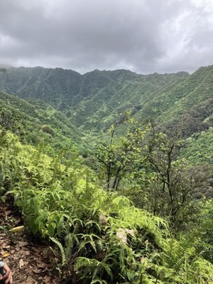 HAU’ULA LOOP TRAIL - Updated December 2025 - 152 Photos & 24 Reviews ...