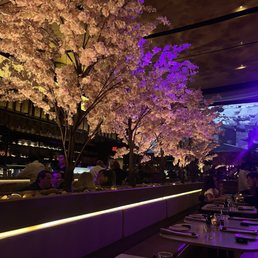 PAPERFISH SUSHI - Updated December 2025 - 476 Photos & 285 Reviews ...