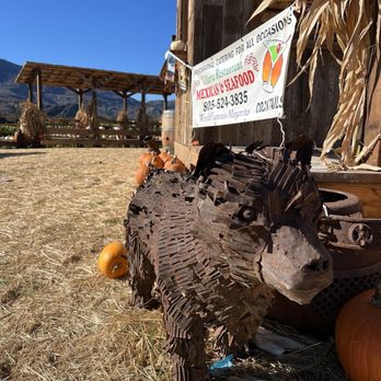 PRANCERS FARM - Updated December 2025 - 173 Photos & 51 Reviews - 18540 ...